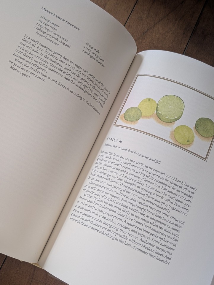 Chez Panisse Fruit Alice Waters (2002, Hardcover) Cookbook Desserts ...