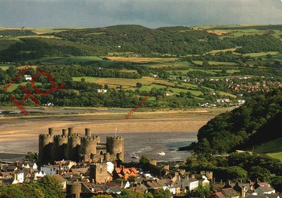 Picture Postcard__Conwy Castle | eBay