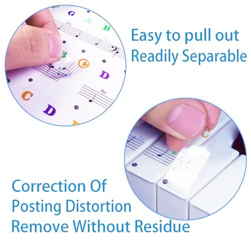 Piano Keyboard Stickers with Piano Chord Chart,for 88/61/54/49 Colorful ...