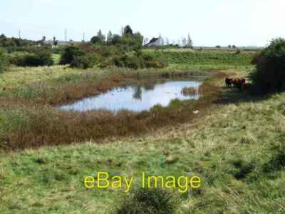 Photo 6x4 Farmland by the River Witham Fishtoft A marshy area next to ...