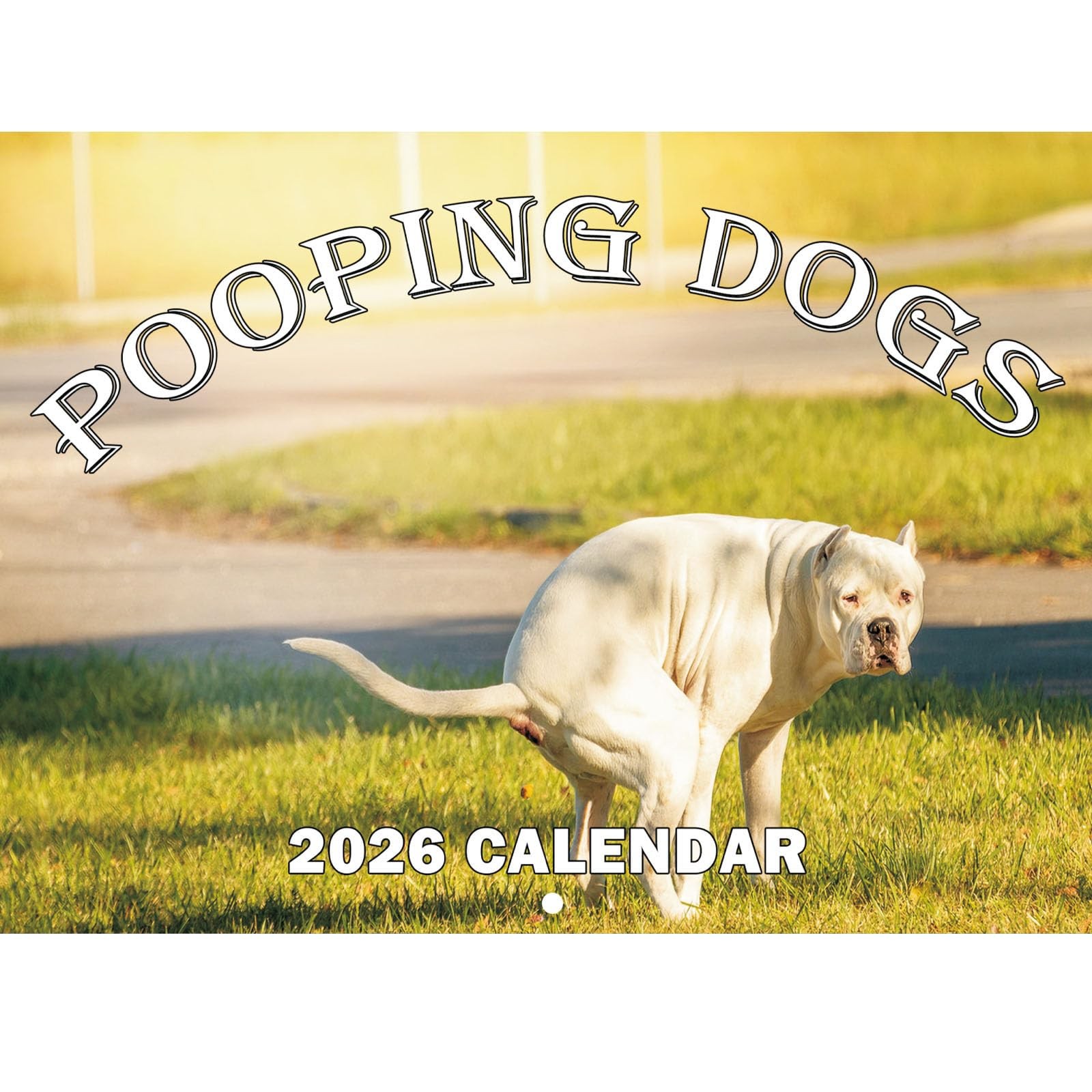 Pooping Dogs Calendar 2026 - Funny Calendar 2026, Jan. 2026