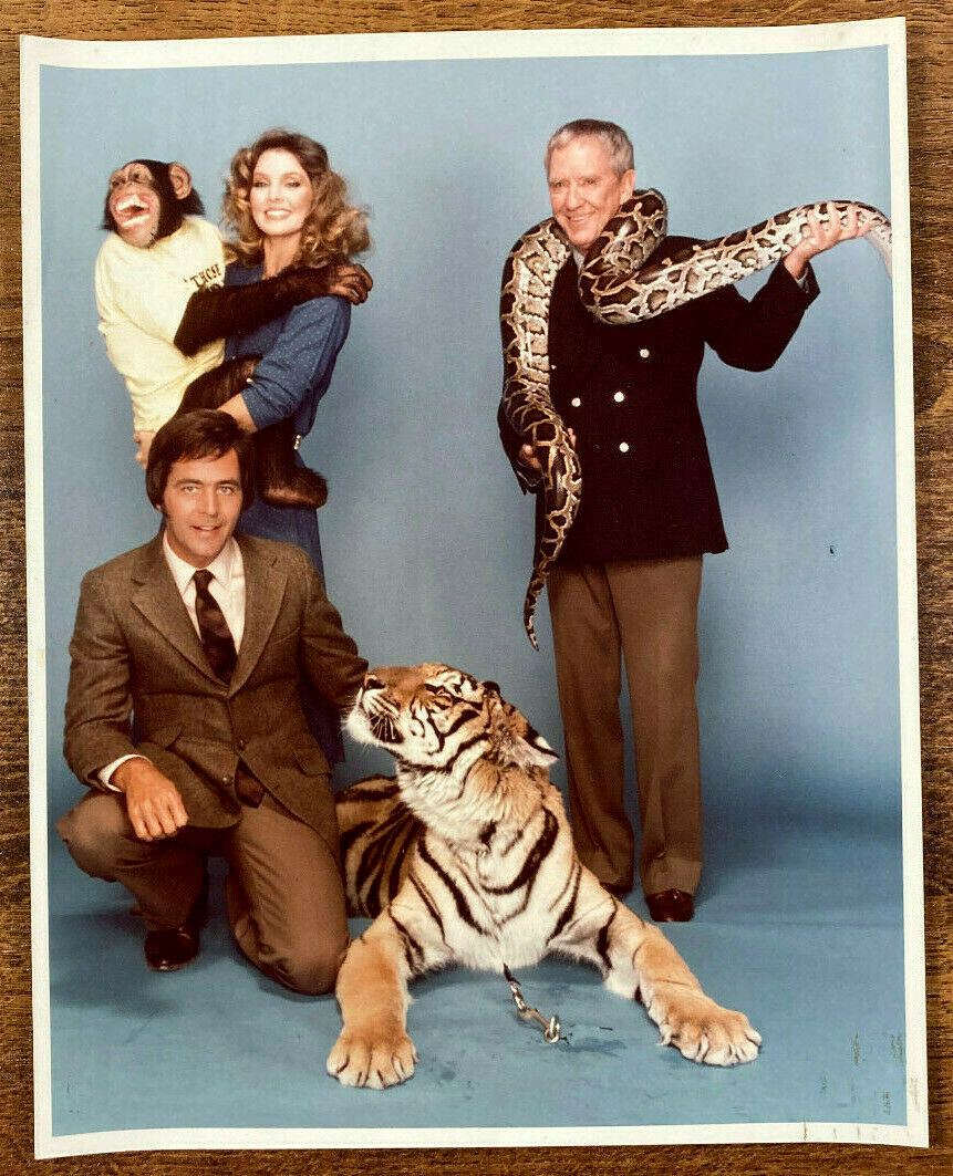 Priscilla Presley Tv Shows 60 Photos - Moonagedaydream.film