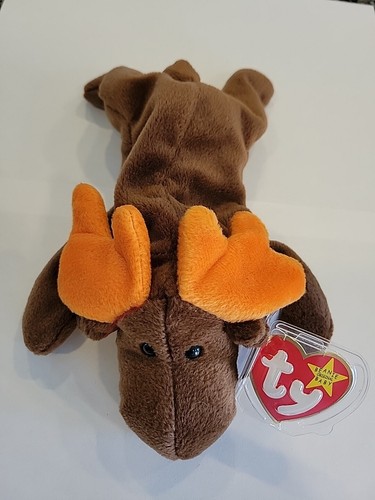TY Beanie Baby Chocolate the Moose Style 4015 DOB 4-27-93 8421040155 | eBay