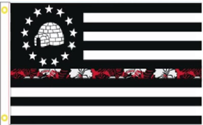 3X5 Boogaloo Movement IGLOO LIBERTARIAN FLAG BANNER 100D | eBay