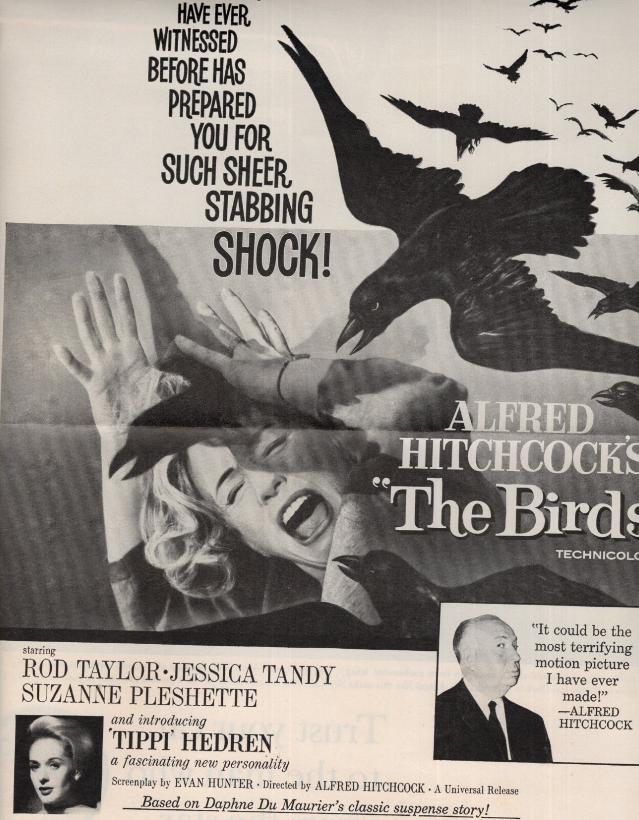 Tippi Hedren the Birds vintage ad Magazine Photo Clipping 1 page C1718 ...