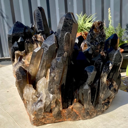 47LB Large natural smoky black quartz cluster crystal raw specimen ...