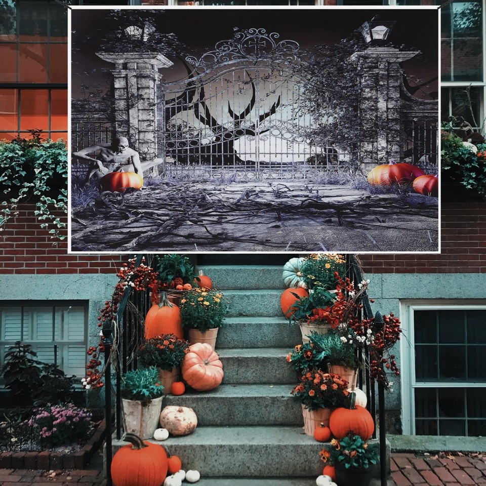 Halloween Background Backdrop Party Decoration Decorations Outdoor ...