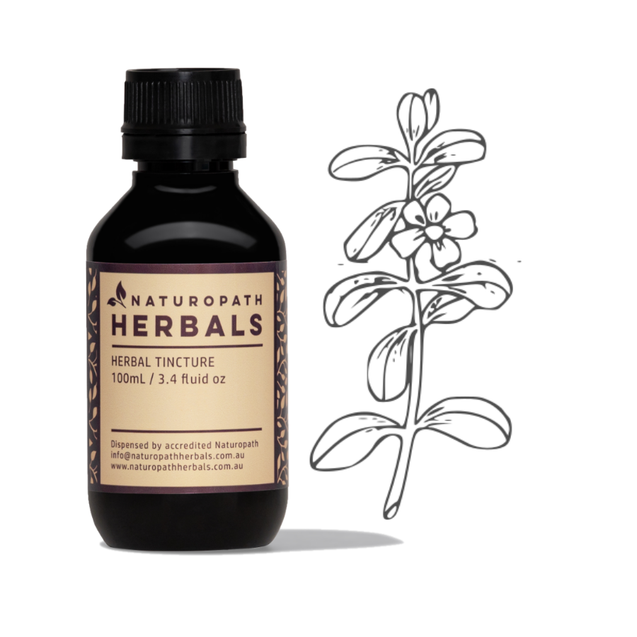 BACOPA Tincture Extract Herbal Liquid ⭐⭐⭐⭐⭐ ~ Naturopath Herbals | eBay