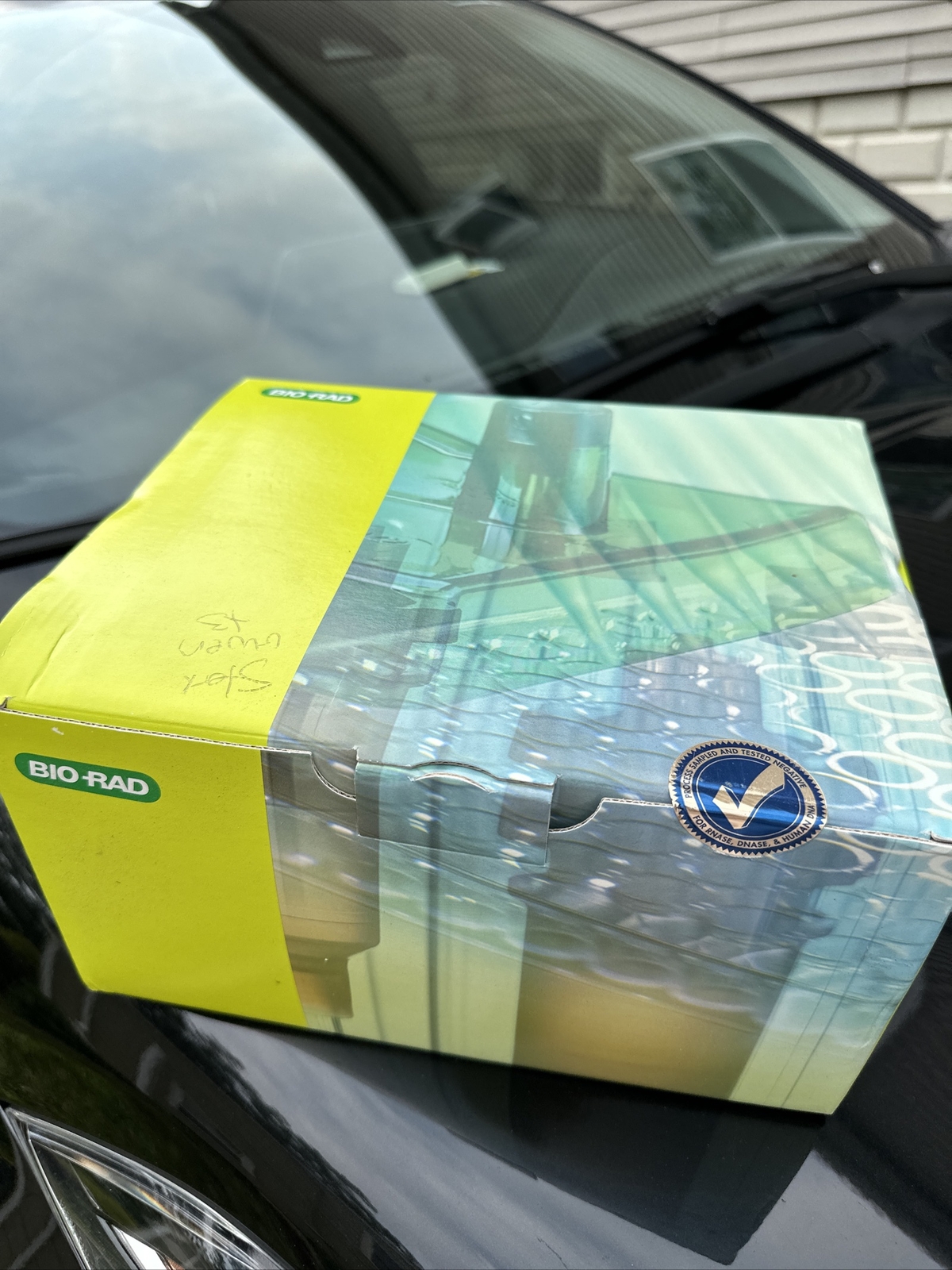 Bio-Rad Hard-shell 96-well PCR Plates Pkg of 50 HSP9601 for sale online ...