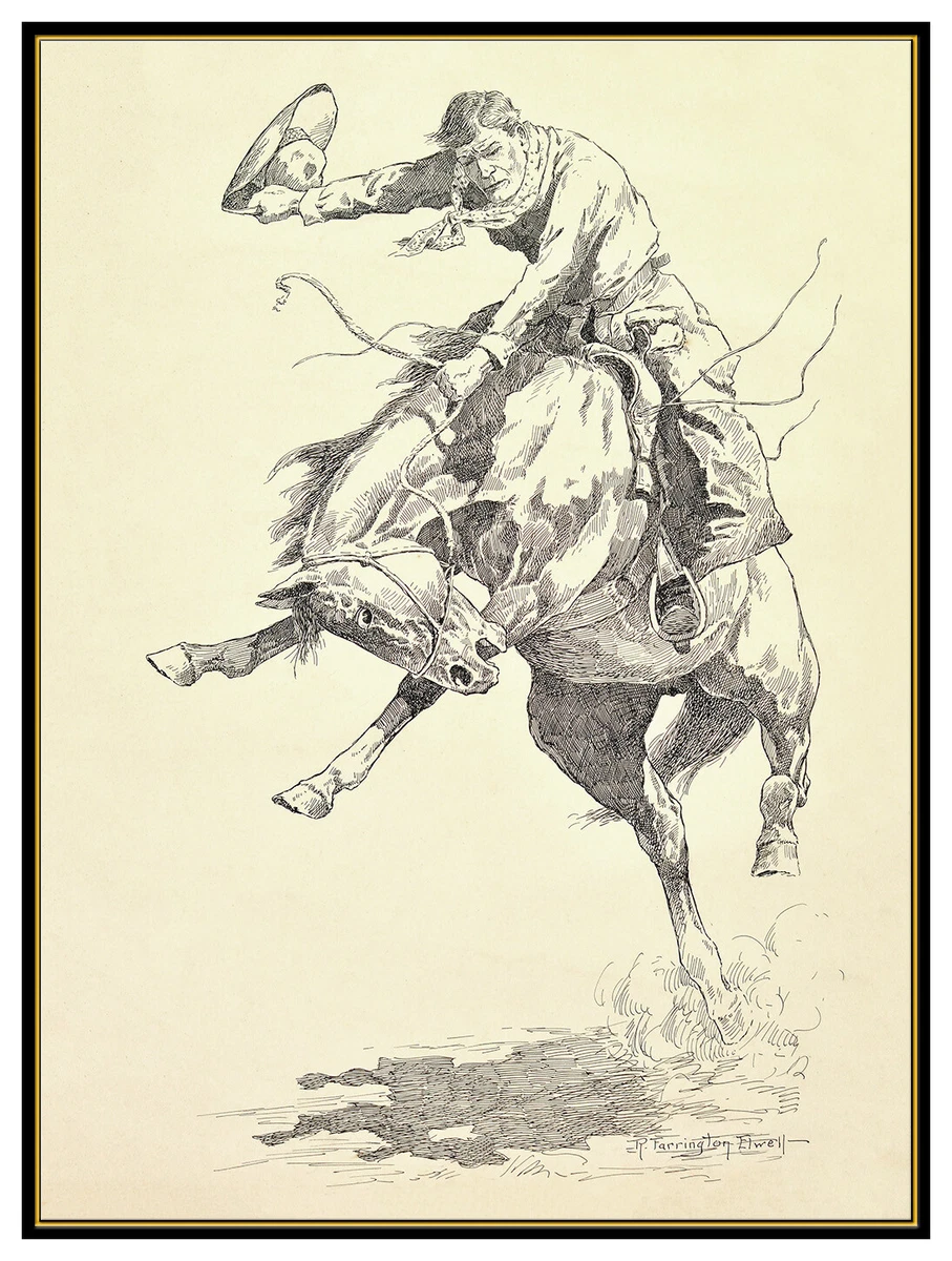 Rodeo Horse Drawings