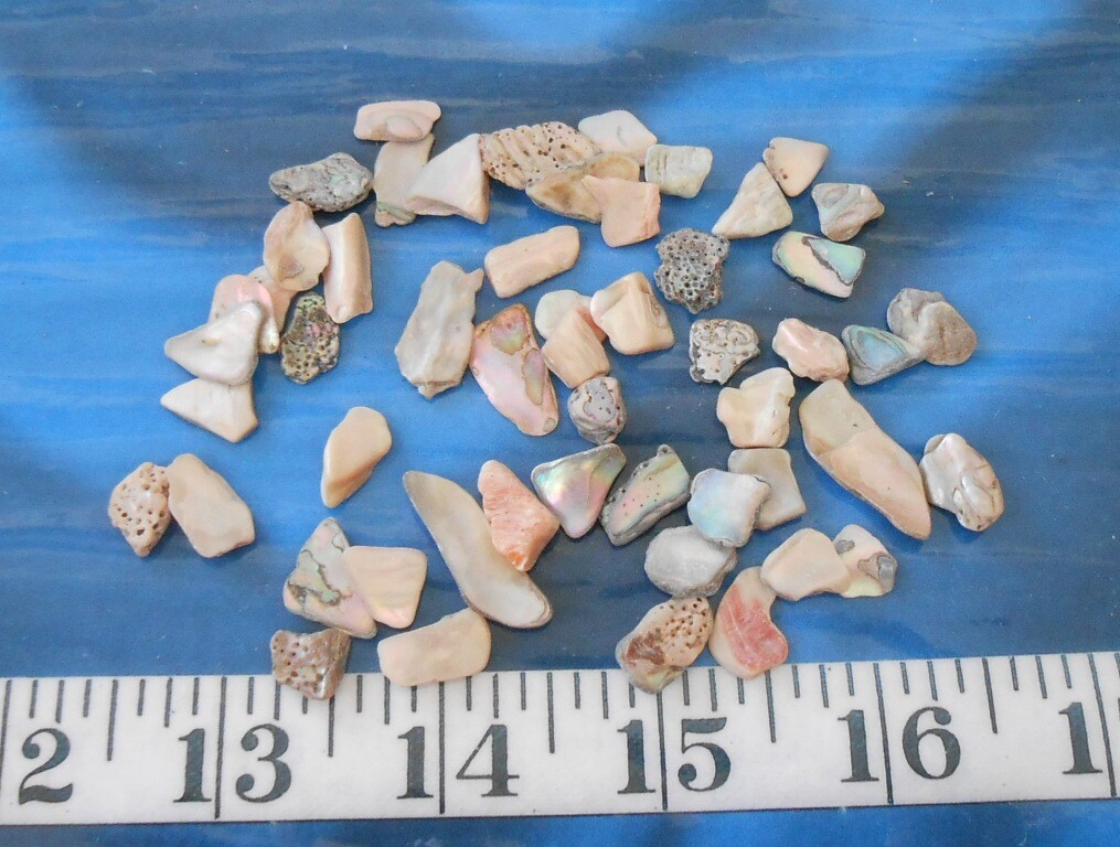 ~ Natural Abalone Shell Chips ~ 50 Light Mix ~ Shellcraft~ Sailor's ...