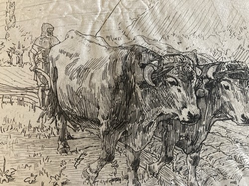 Beautiful Engraving 19th Century On Real Vellum Jean Paul Laurens Oxen ...