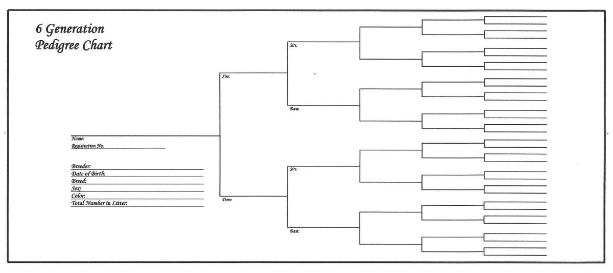 Five Generation Pedigree Chart Template
