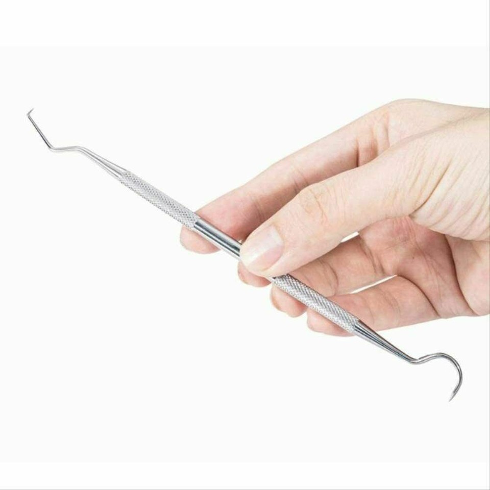 Dentist Teeth Clean Hygiene Explorer Probe Hook Pick Stainless Dental ...