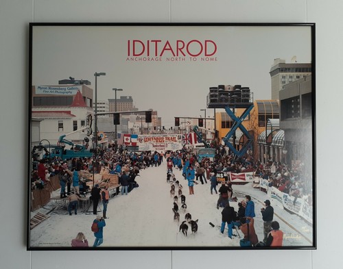 MYRON ROSENBERG SUSAN BUTCHER IDITAROD ANCHORAGE NORTH TO HOME SIGNED ...