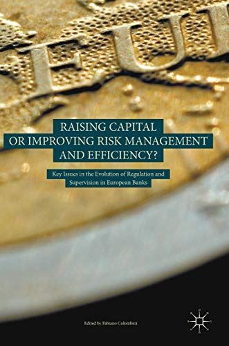 Raising Capital or Improving Risk Management and Efficiency? | eBay