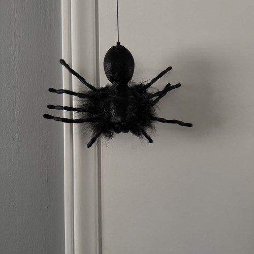 Dropping Dangling Spider Red Eyes Sound / Sound Activated -Used | eBay