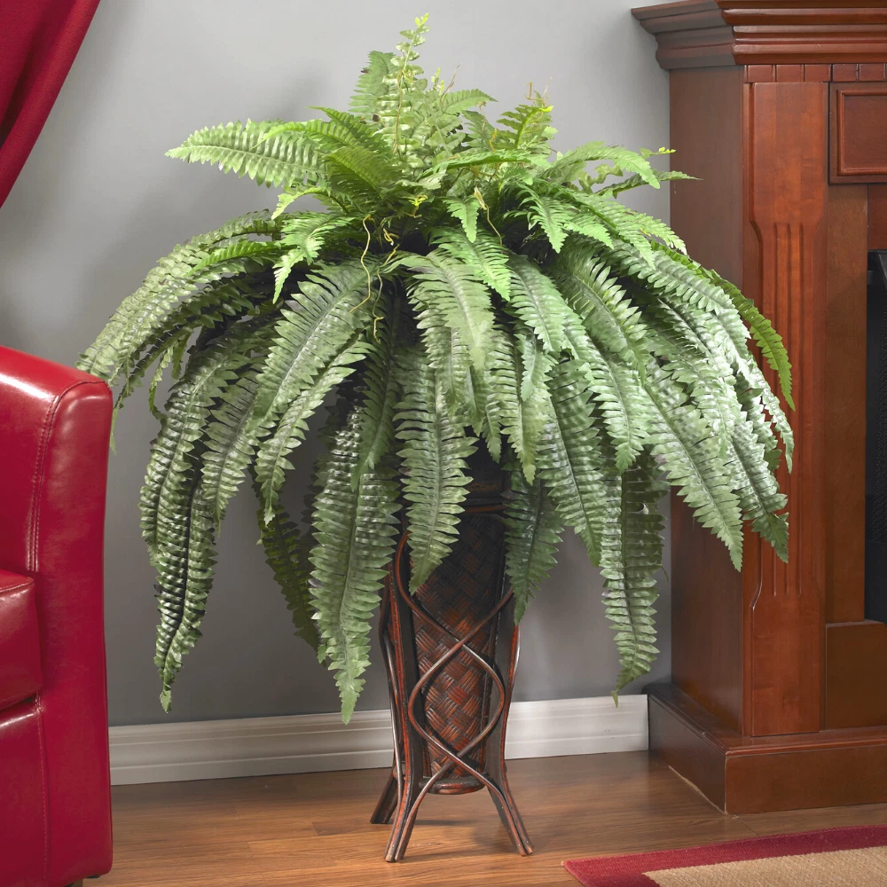 Tall Potted Ferns