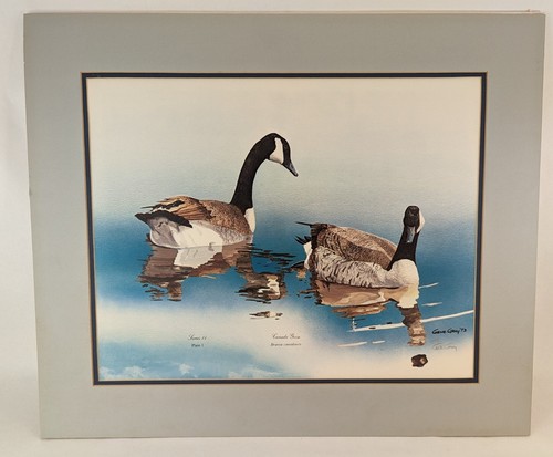 Gene Gray Signed Canadian Geese Goose Bird Print | eBay