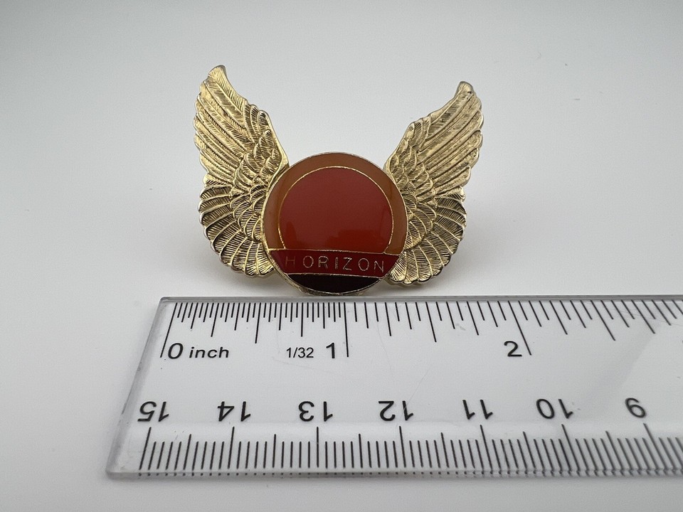 Vintage Horizon Airlines Captains Pilot Hat Wings Lapel Hat Pin | eBay