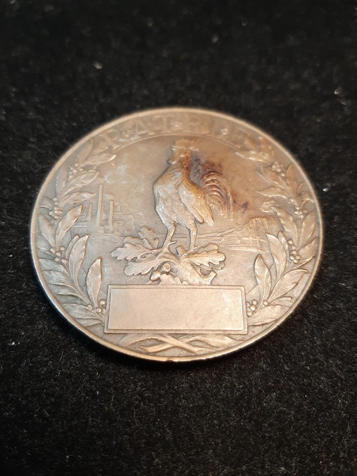 French "Journee Francaise" Bronze Medal | eBay