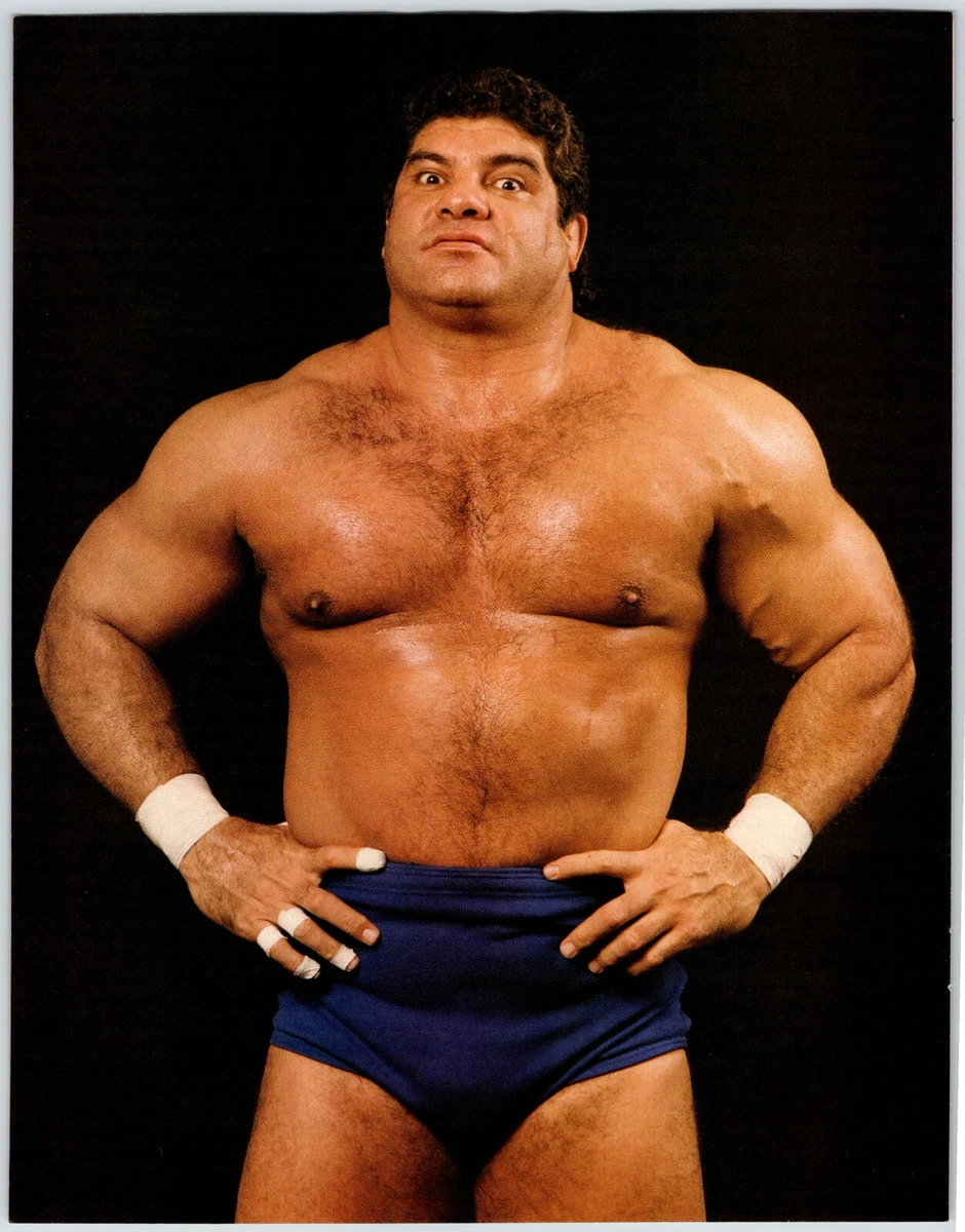 Don Muraco