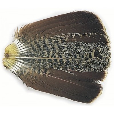 English Partridge Complete Tails, Fly Tying Feathers,For Making Trout ...