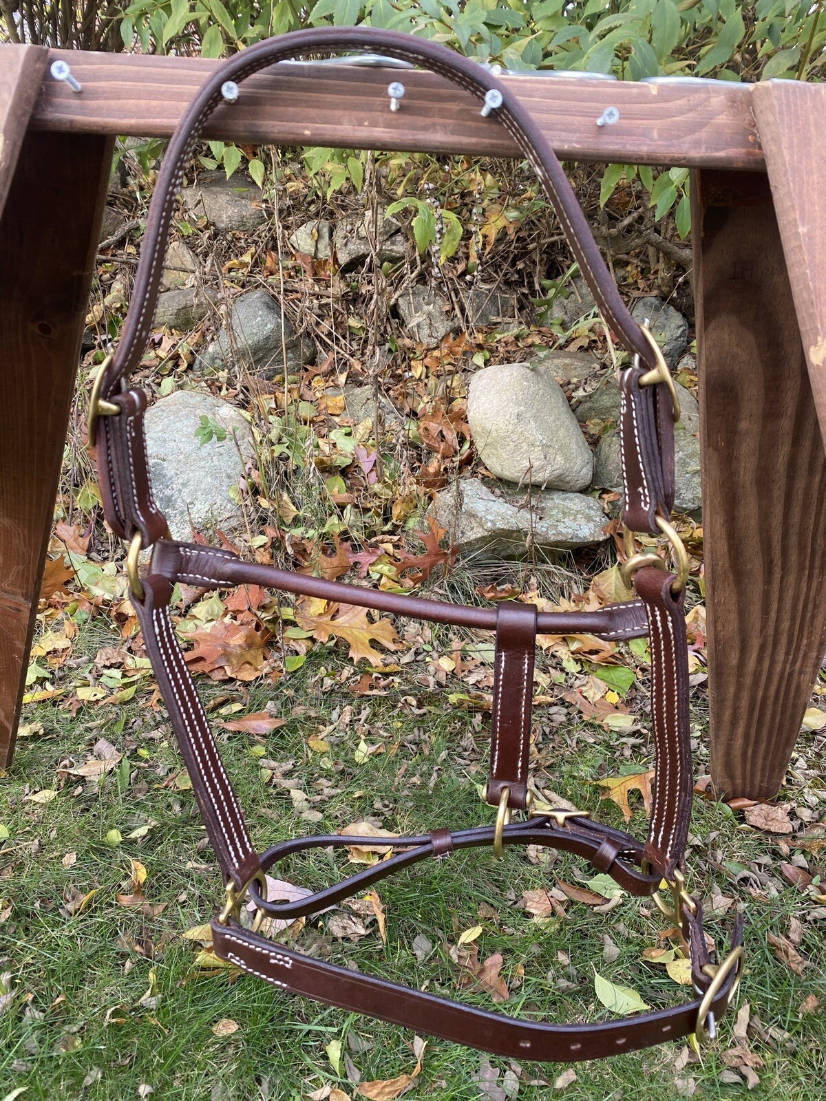 Leaders Premium Leather halter With Nose Buckle! Cob Size! | eBay