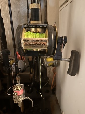 Shimano TLD 50W on Penn Ally Rod with roller tip (Trolling Rod) | eBay