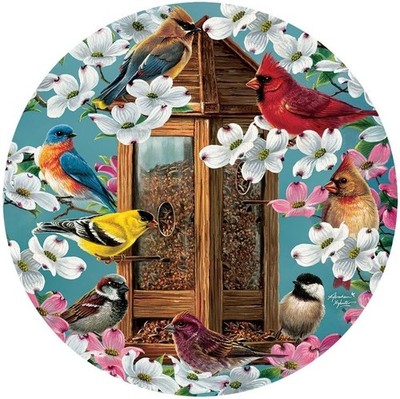 Decorative Songbird Feeder Round Accent Magnet, 6 inch for Yard Stake ...