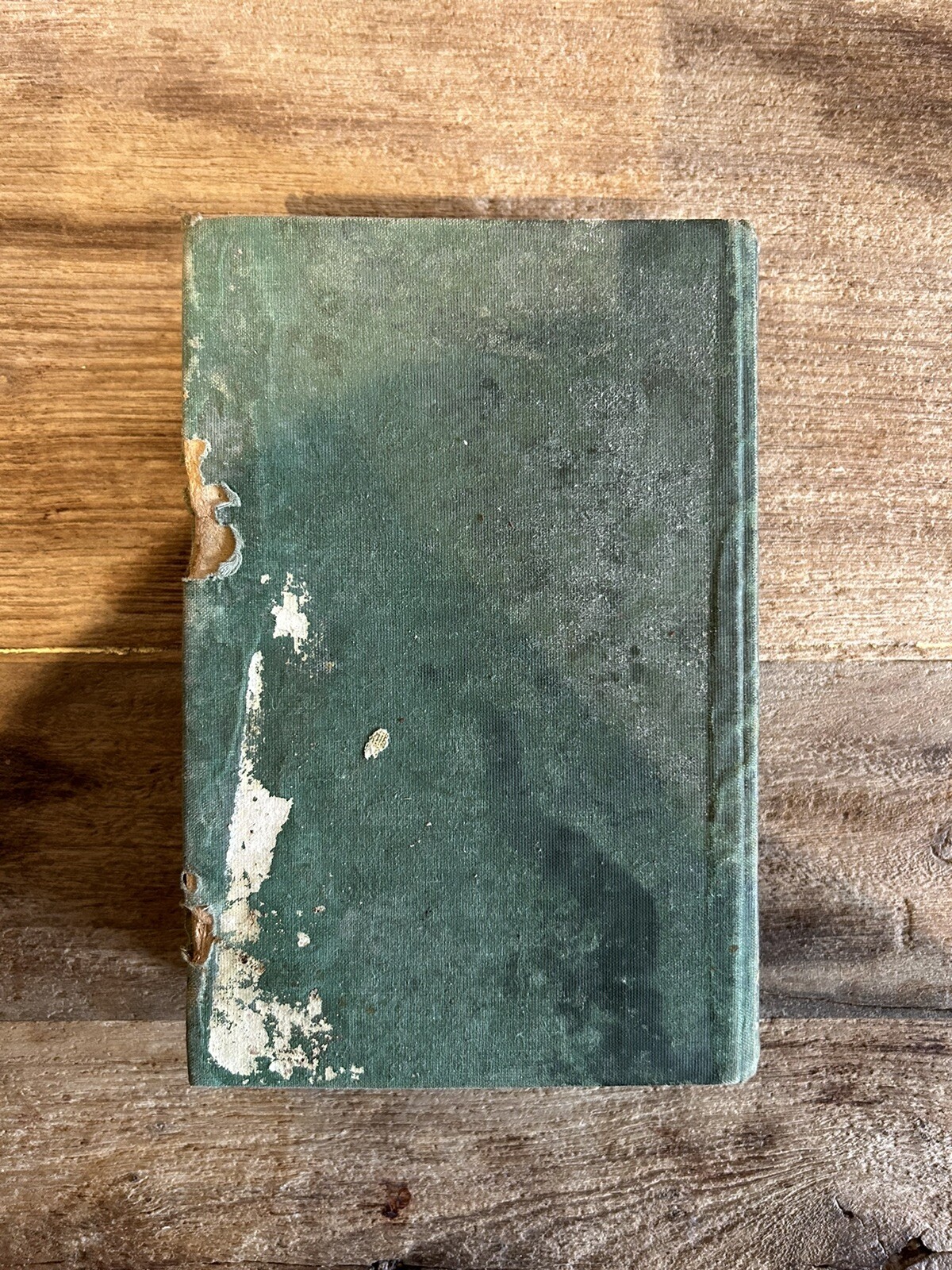 A Welsh Singer by Allen Raine, Hutchinson & Co, Twentieth Edition | eBay UK