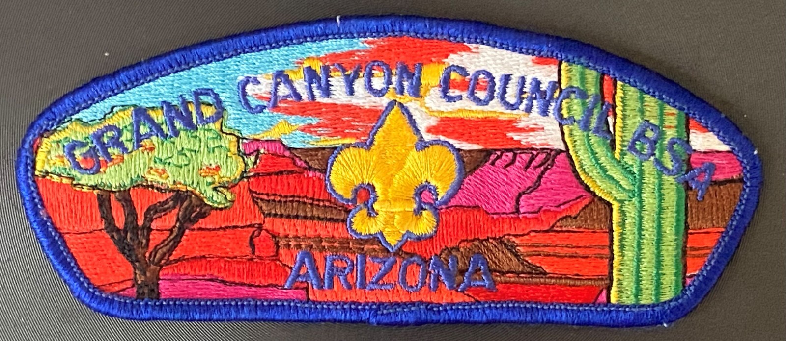 Grand Canyon Council BSA S3 CSP Plastic Back Used | eBay