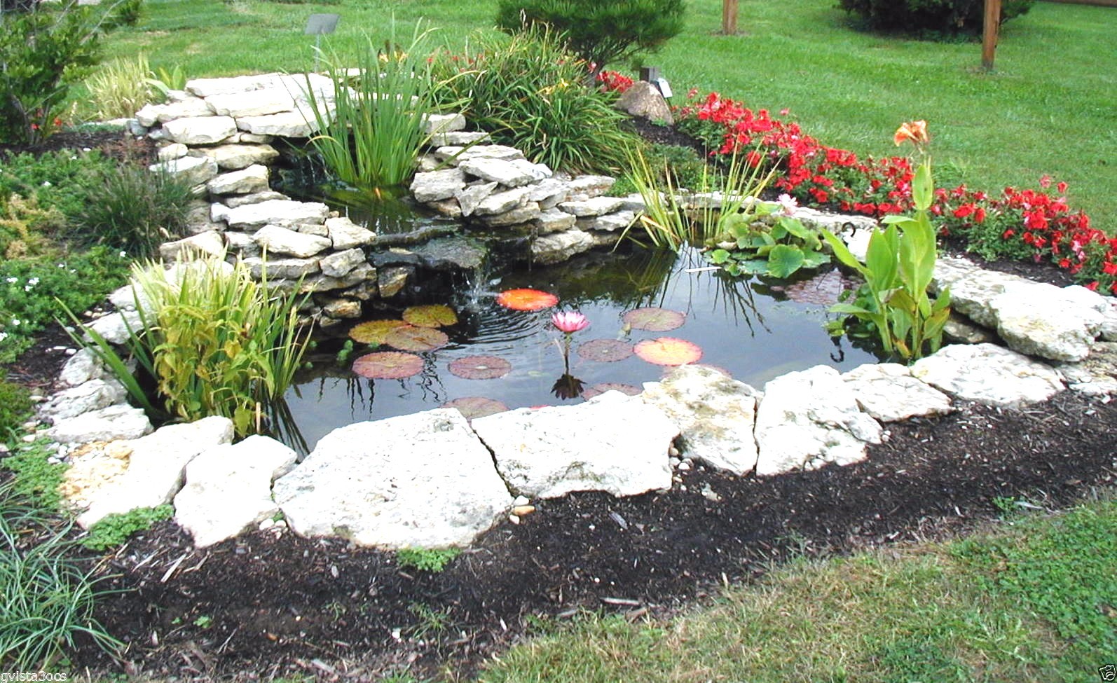 American Pond DIY Freedom Series Complete Deluxe Pond Kit 8x11' w ...