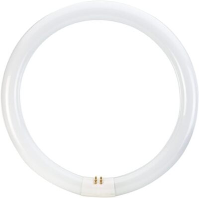 Osram 40cm Circular Fluorescent T9 Tube 40W G10q 4-pin Daylight 6500K ...