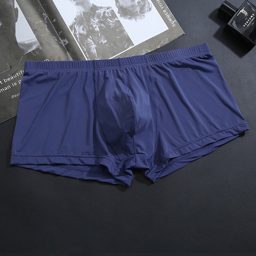 Men's Sexy Ice Silk Transparent Convex Panties Boxer Briefs Underpants ...