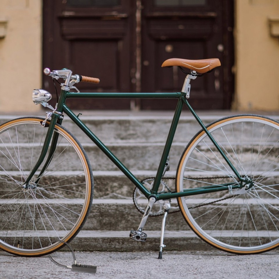 Anti-Theft Cable Lock with Resettable Combination Password Adjustable ...