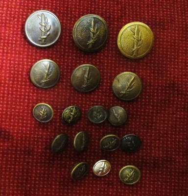 ISRAEL IDF ZAHAL 17 BUTTONS VINTAGE | eBay