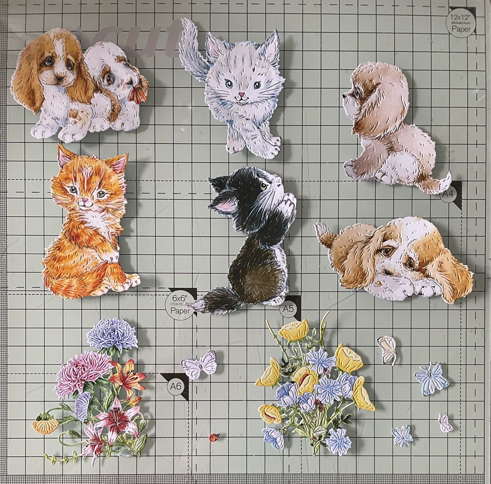 Highlight Crafts Two Red Robins In The Studio Fur Babies Complete Set ...