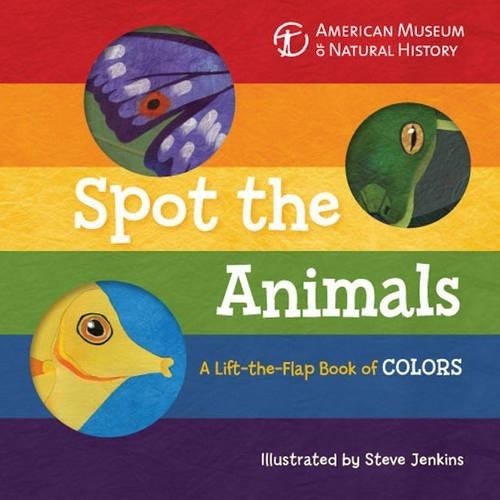 Steve Jenkins Spot the Animals (Libro de cartón) 9781402777233 | eBay