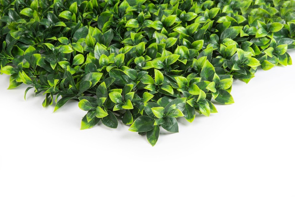 Naturae Decor Gardenia Hedge Wall Panels Pack of 12 Tiles - High ...