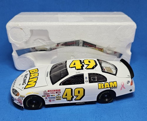 RARE 1/24 2002 SHAWNA ROBINSON #49 BAM RACING DODGE INTREPID One of 699 ...