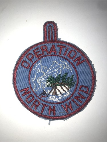 VINTAGE BSA Button Hole Patch Operation North Wind. S/110 | eBay