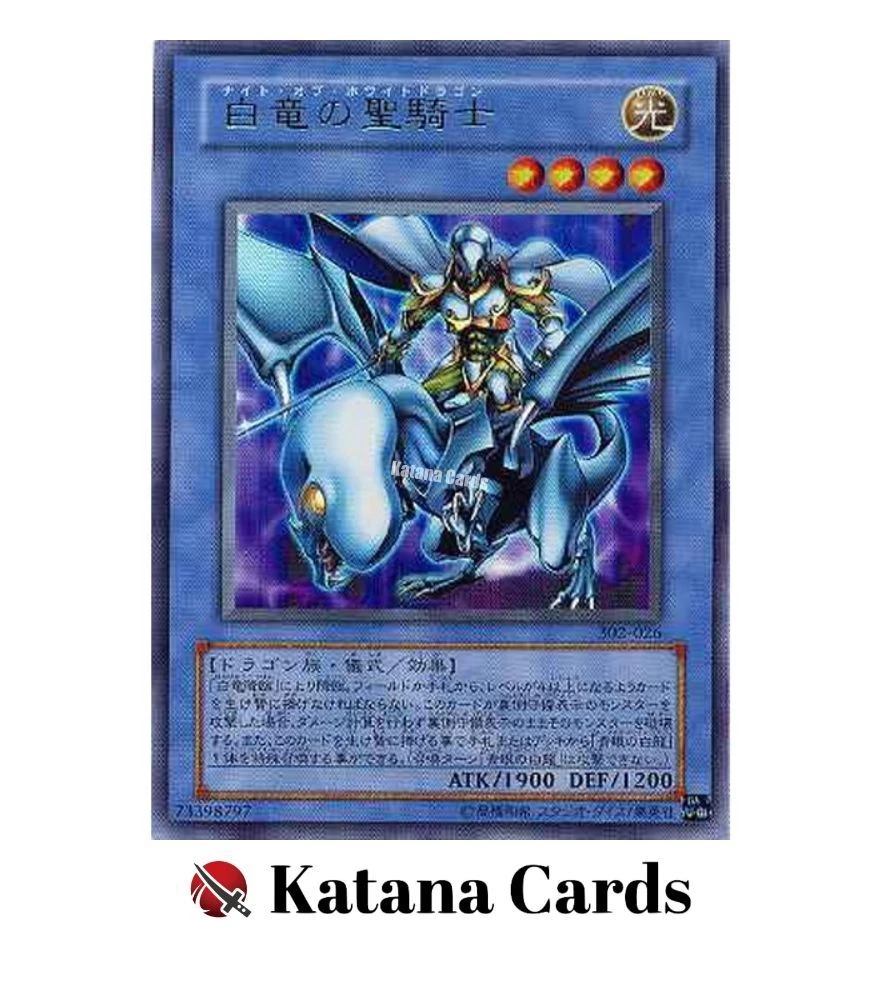 Paladin Of White Dragon