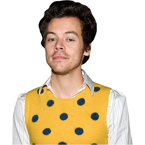 Harry Styles (Yellow Top)# Half Body Buddy Cutout | eBay