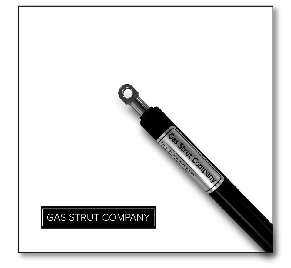 Universal Gas Strut 50N - 1000N , 200mm - 1000mm w/ Eyelet Ends | eBay UK