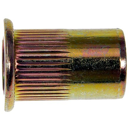 Dorman 963-256D Rivet Nut M10 1.50 | eBay