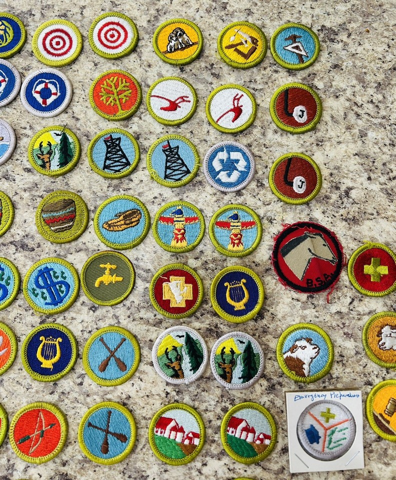 Boy Scout Lot Of 76 Class H Merit Badges 49 Different | eBay