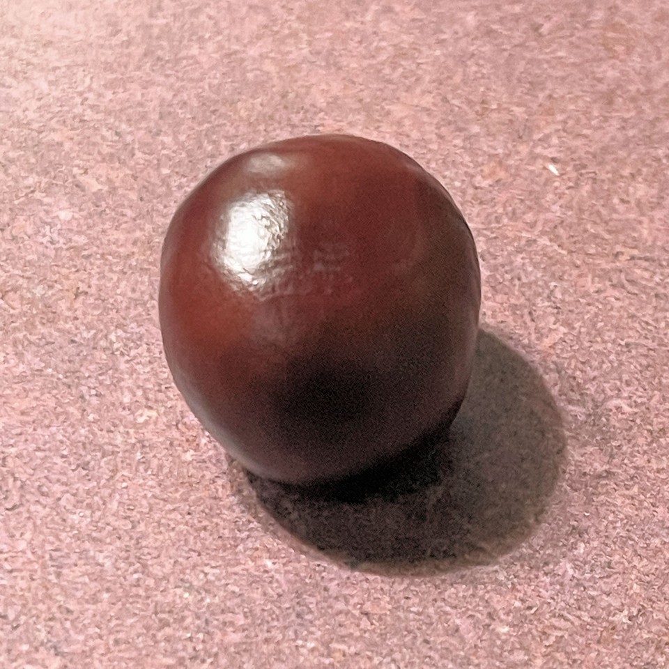 24 European Horse Chestnut Buckeye Seeds Aesculus Hippocastanum Conker ...