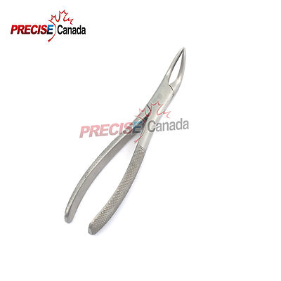 Dental Extracting Forceps English Part Figure 301 Lower Roots ...