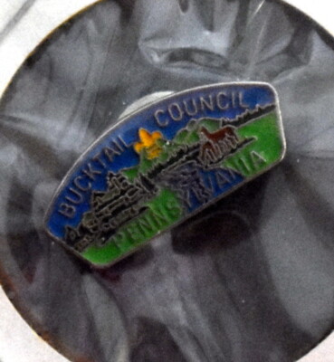 BOY SCOUT - BUCKTAIL COUNCIL HAT PIN | eBay